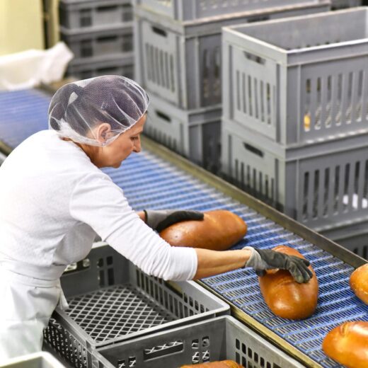 Repetitive Strain Injuries in Food Processing - Employ Health ...